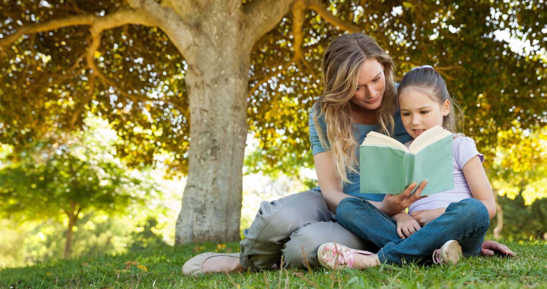 Moss Law: Family Lawyer Services in Ontario